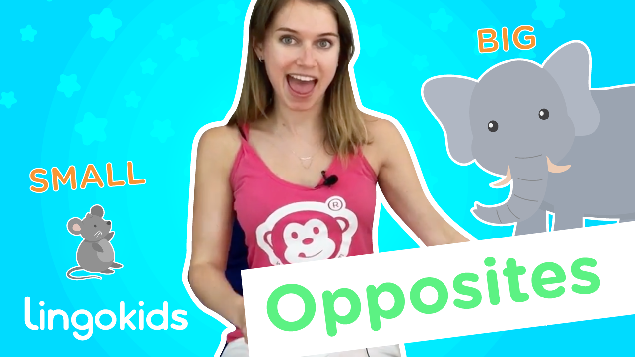 Vídeos Archive - Lingokids - The Playlearning™ App in English