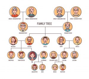 Family Members for Kids