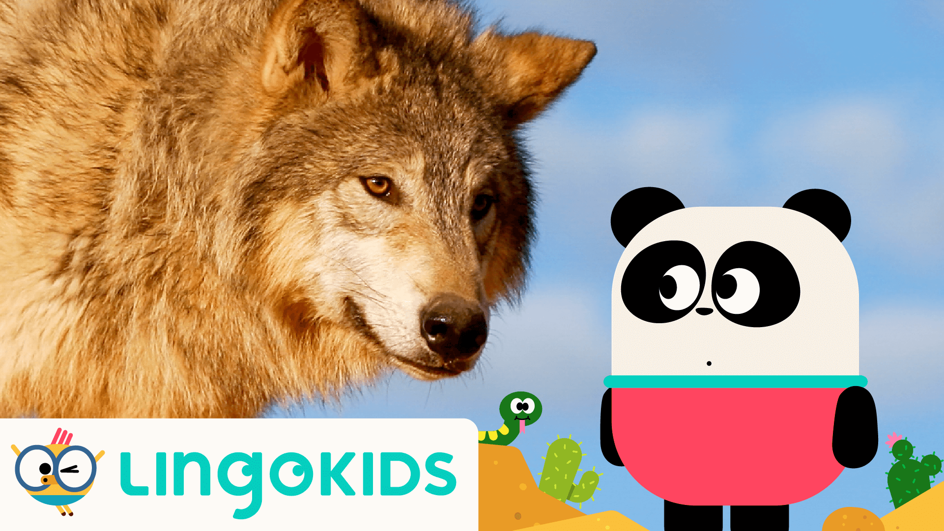 Animals in the World Song 🌎 Songs for Kids