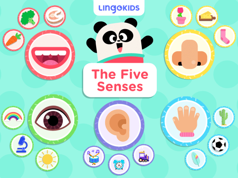 10 Engaging Activities to Teach Kids About the 5 Senses
