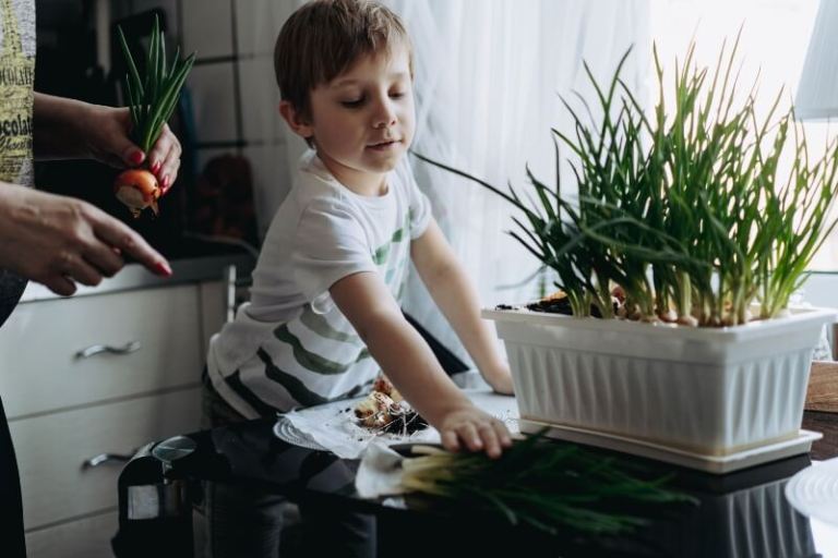 6 Eco-Friendly Activities for Kids (and Parents!)