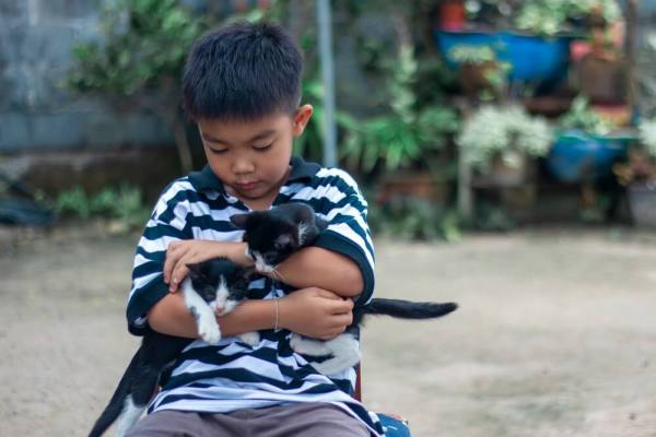 Animals Month: Teach Empathy with Respect for Animals